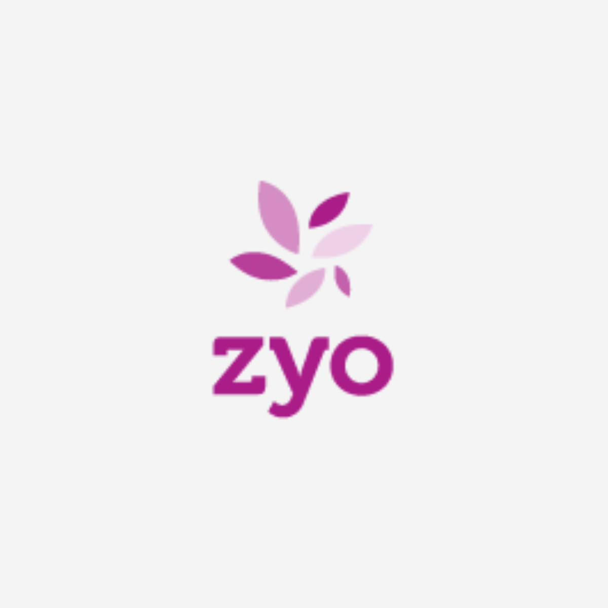 Freeze Dry Strawberry Powder – Zyo